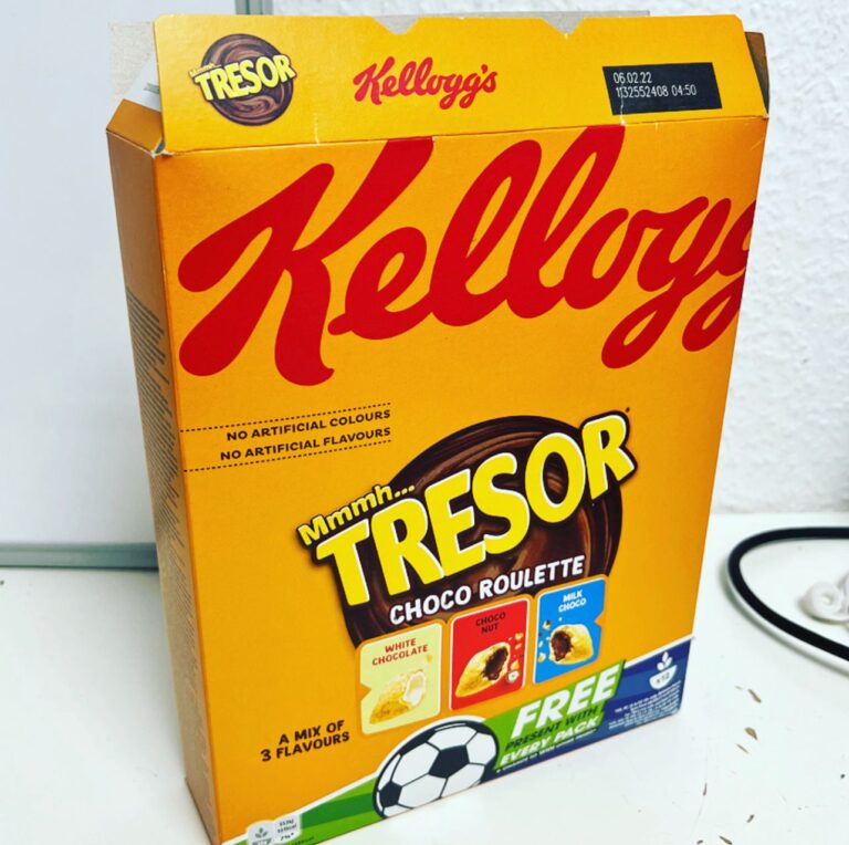 Geschenktüte aus Cornflakes Packung - Repairkultur